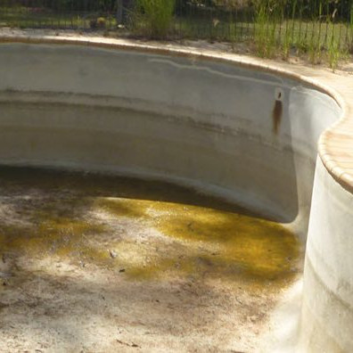 Services – Forensic Engineers